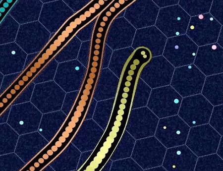 Gulper.io - Play Online Gulper.io on Fundamental Paper Education